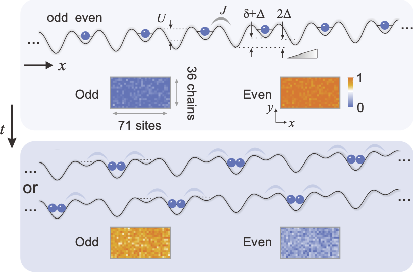 Quantum Simulation | Hauke Group