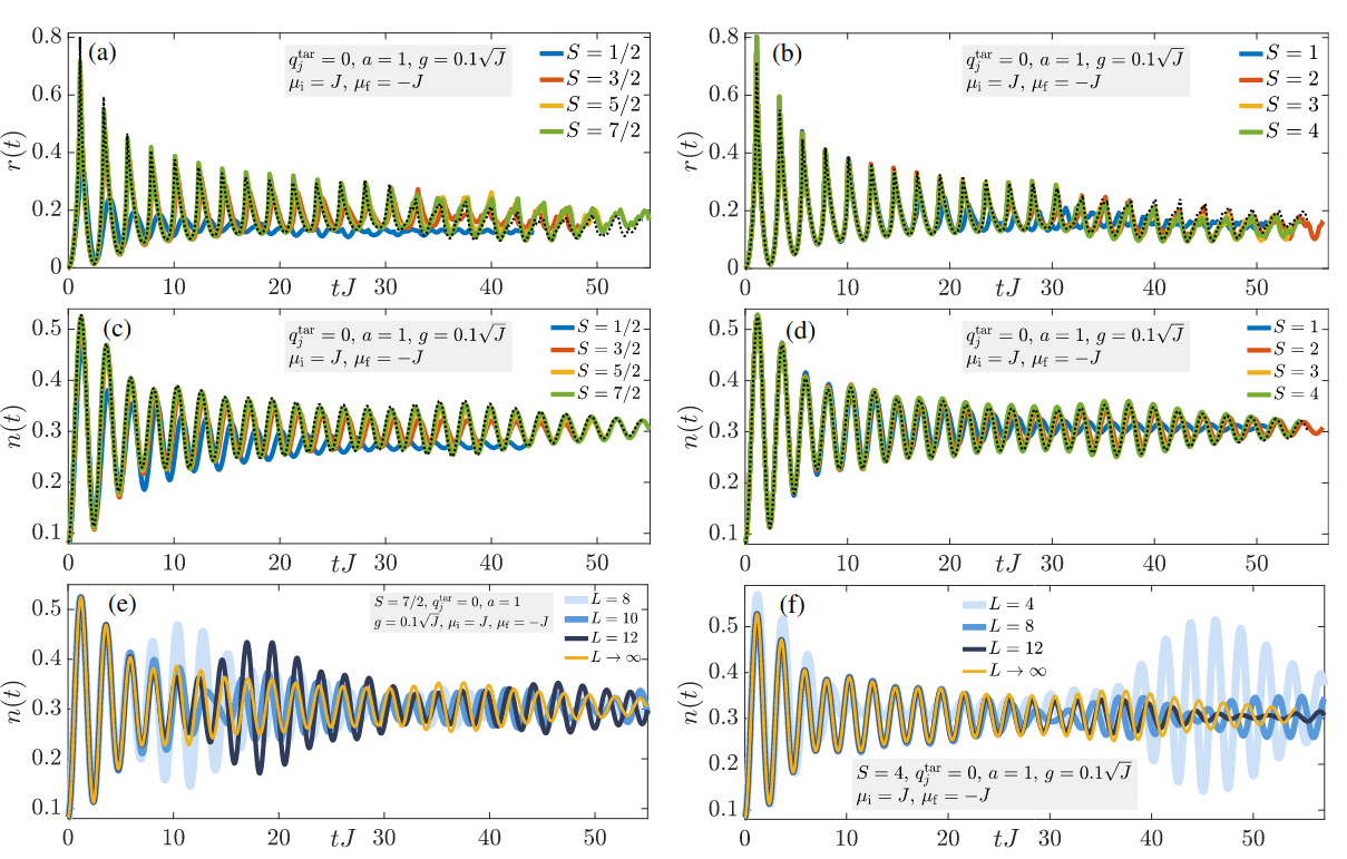 Achieving the quantum field theory limit in far-from-equilibrium ...