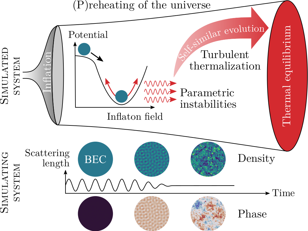 Analog cosmological reheating in an ultracold Bose gas | Hauke Group