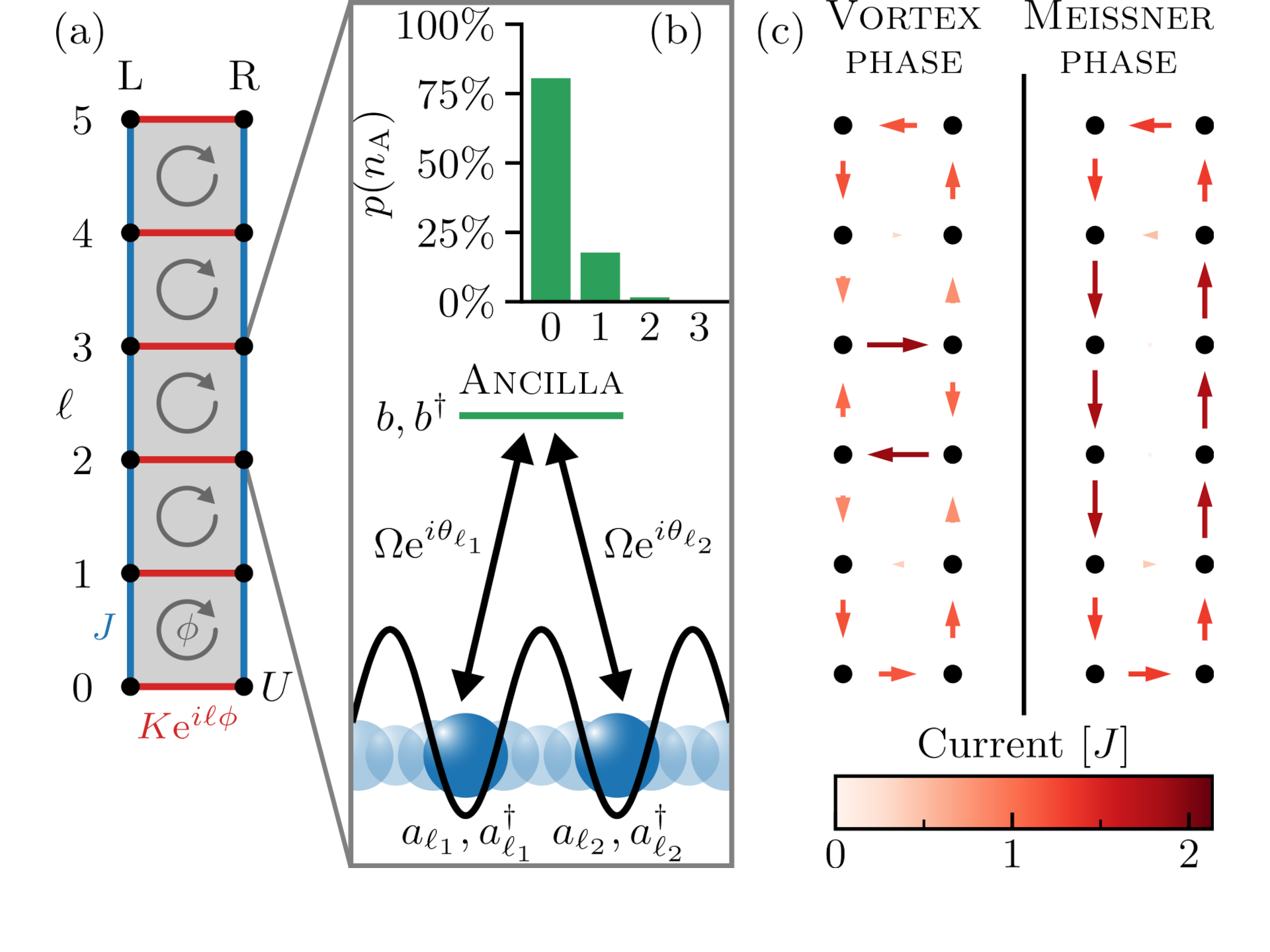 Non Invasive Measurement Of Currents In Analog Quantum Simulators Hauke Group